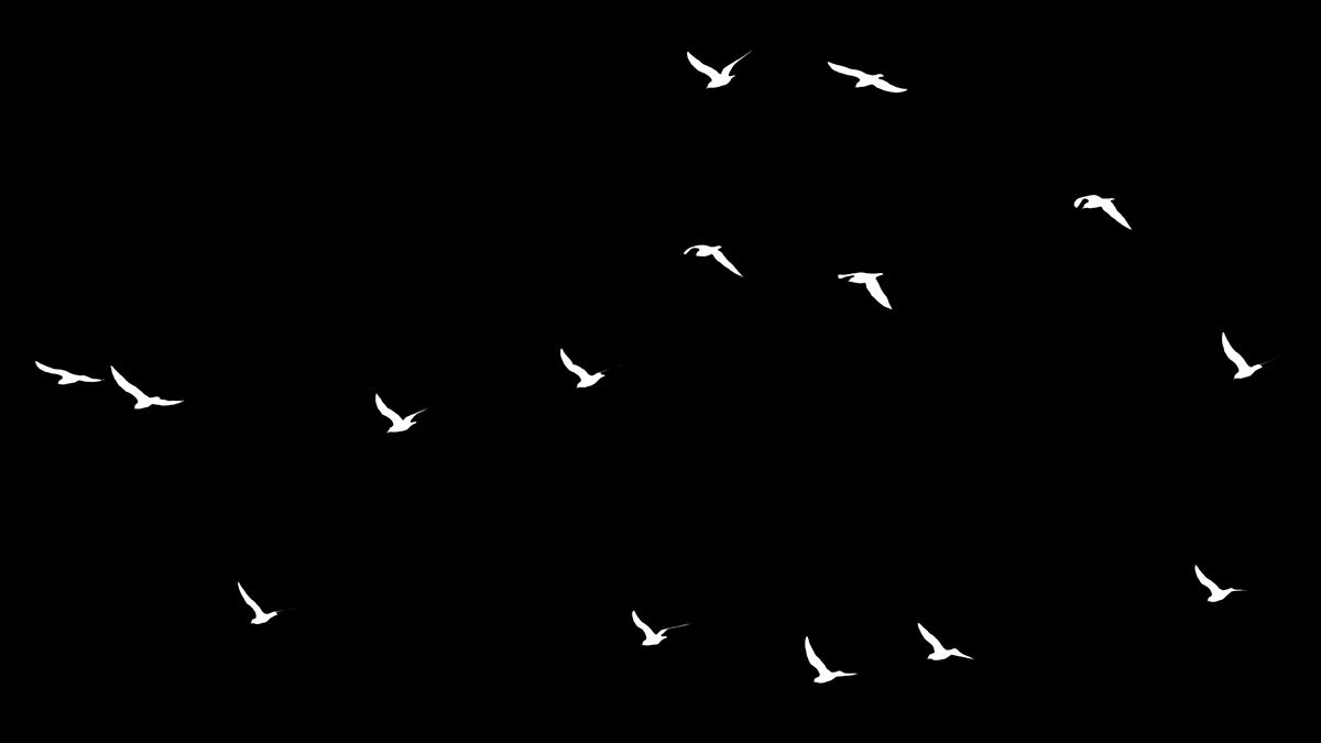 Trial Lawyers - Elsberg Baker & Maruri