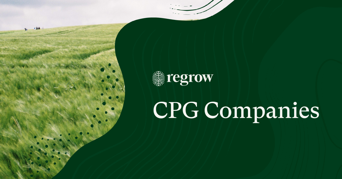 Build a Resilient Brand | Regrow for CPGs