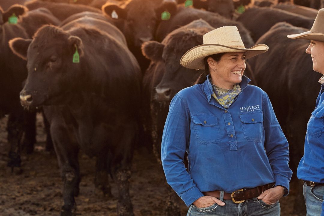 Harvey Beef Reserve | Harvey Beef