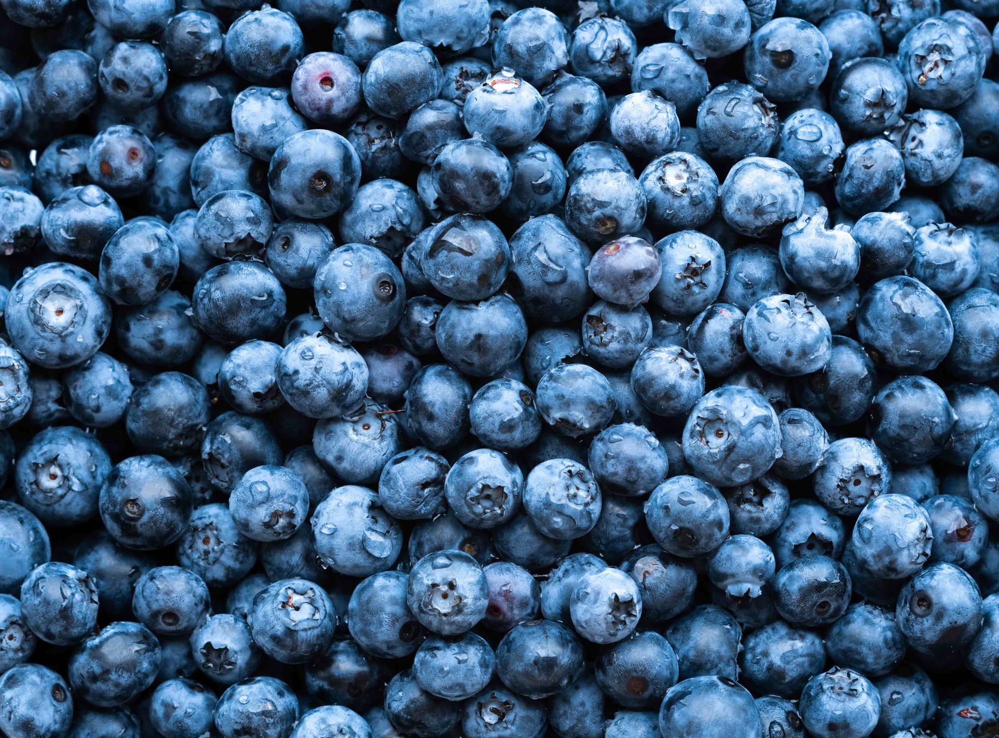 5 Reasons Your Supermarket Needs the Afresh Platform - Afresh