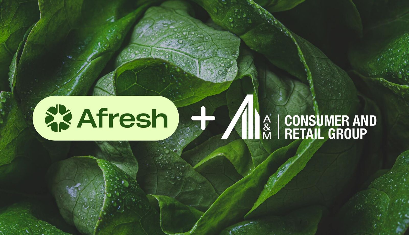 Company - Afresh