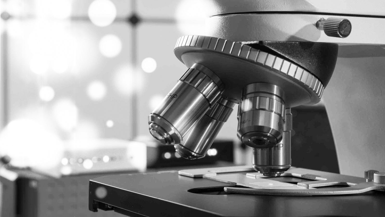 Elsberg Baker & Maruri: An Elite Commercial Litigation Firm