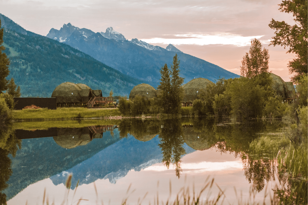 Dwell in the Wild - Tammah