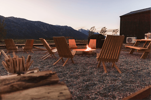 Dwell in the Wild - Tammah