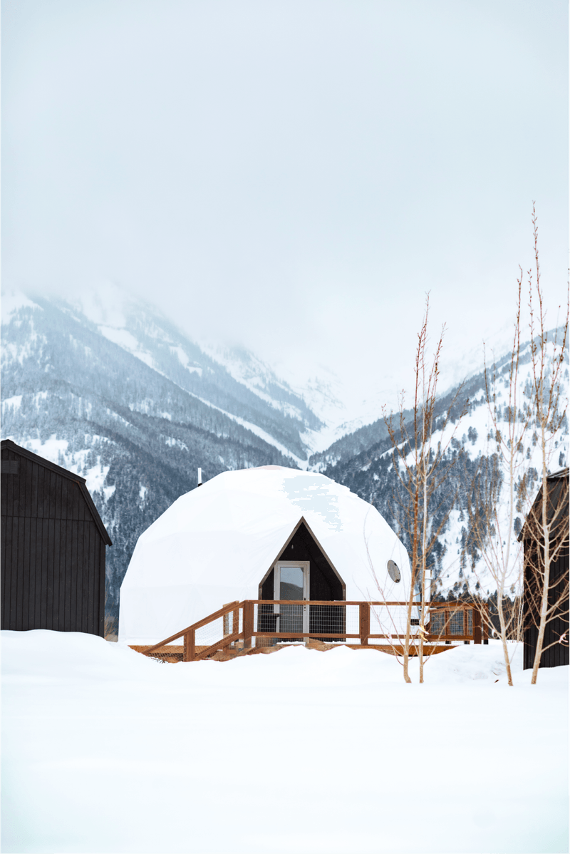 Dwell in the Wild - Tammah