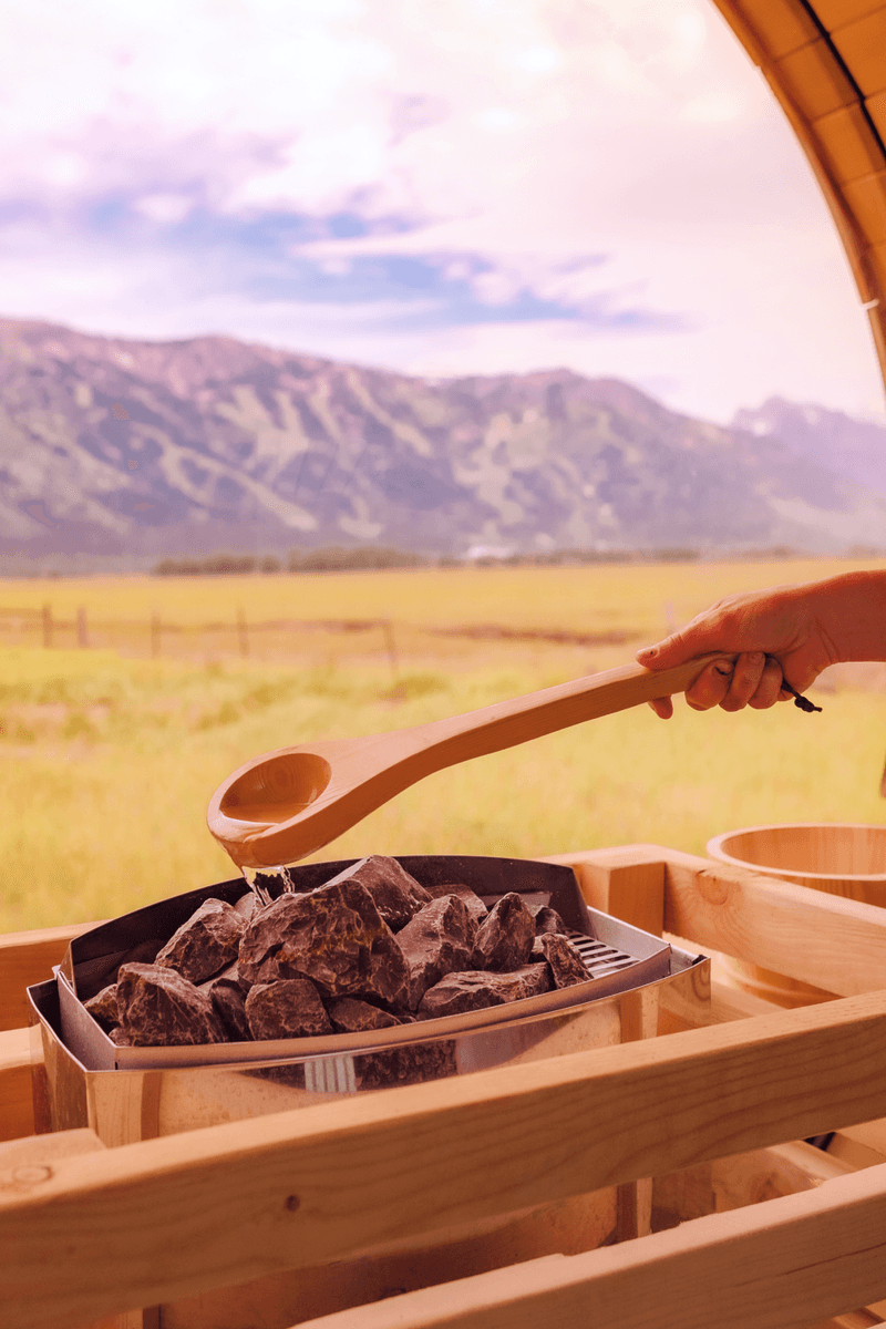 Dwell in the Wild - Tammah