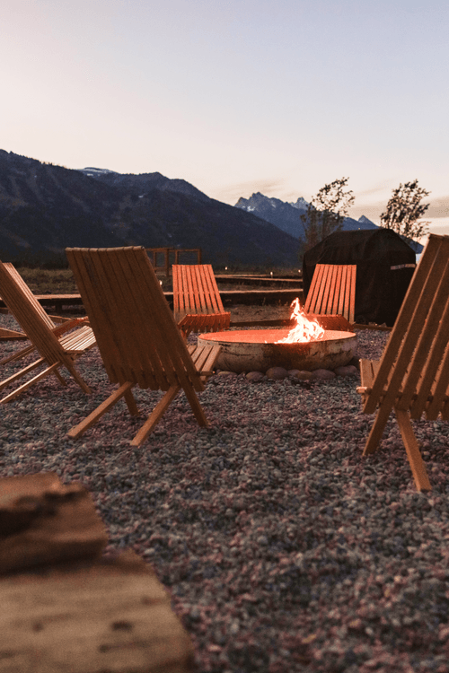 Dwell in the Wild - Tammah