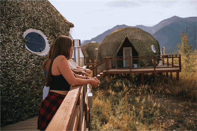 Dwell in the Wild - Tammah