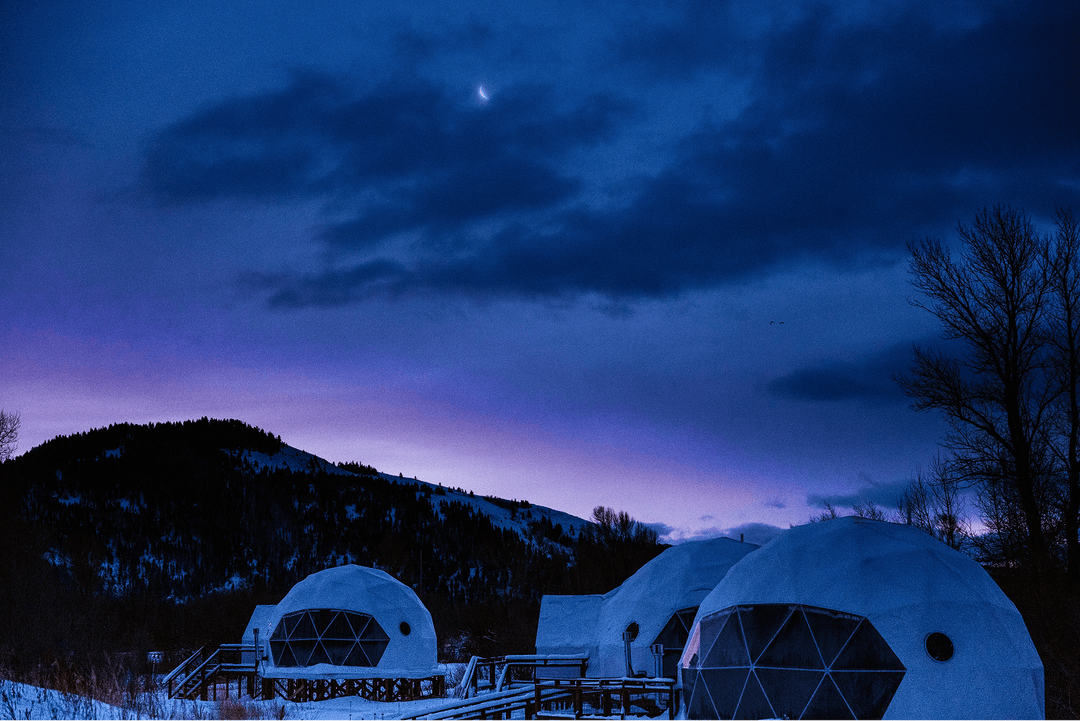 Dwell in the Wild | Tammah Jackson Hole