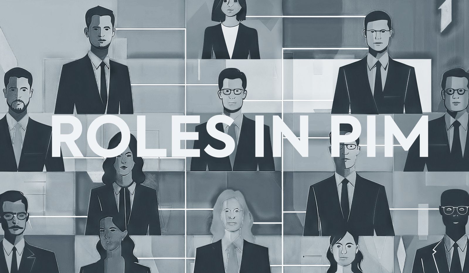 Roles and Priviliges in PIM