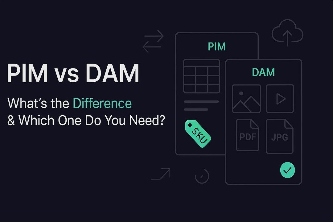 DAM vs PIM: Key Differences Explained