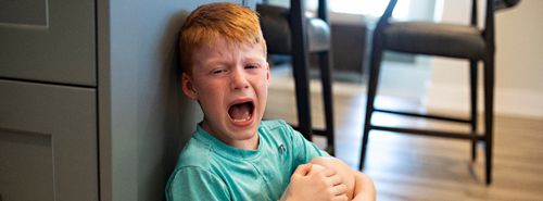 Behavior Technician Job Description