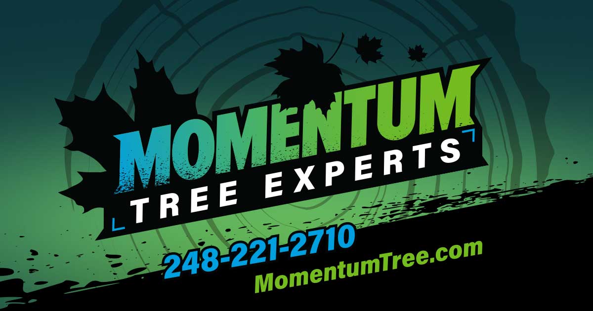 Momentum Tree Experts | Tree Service in Novi, Michigan