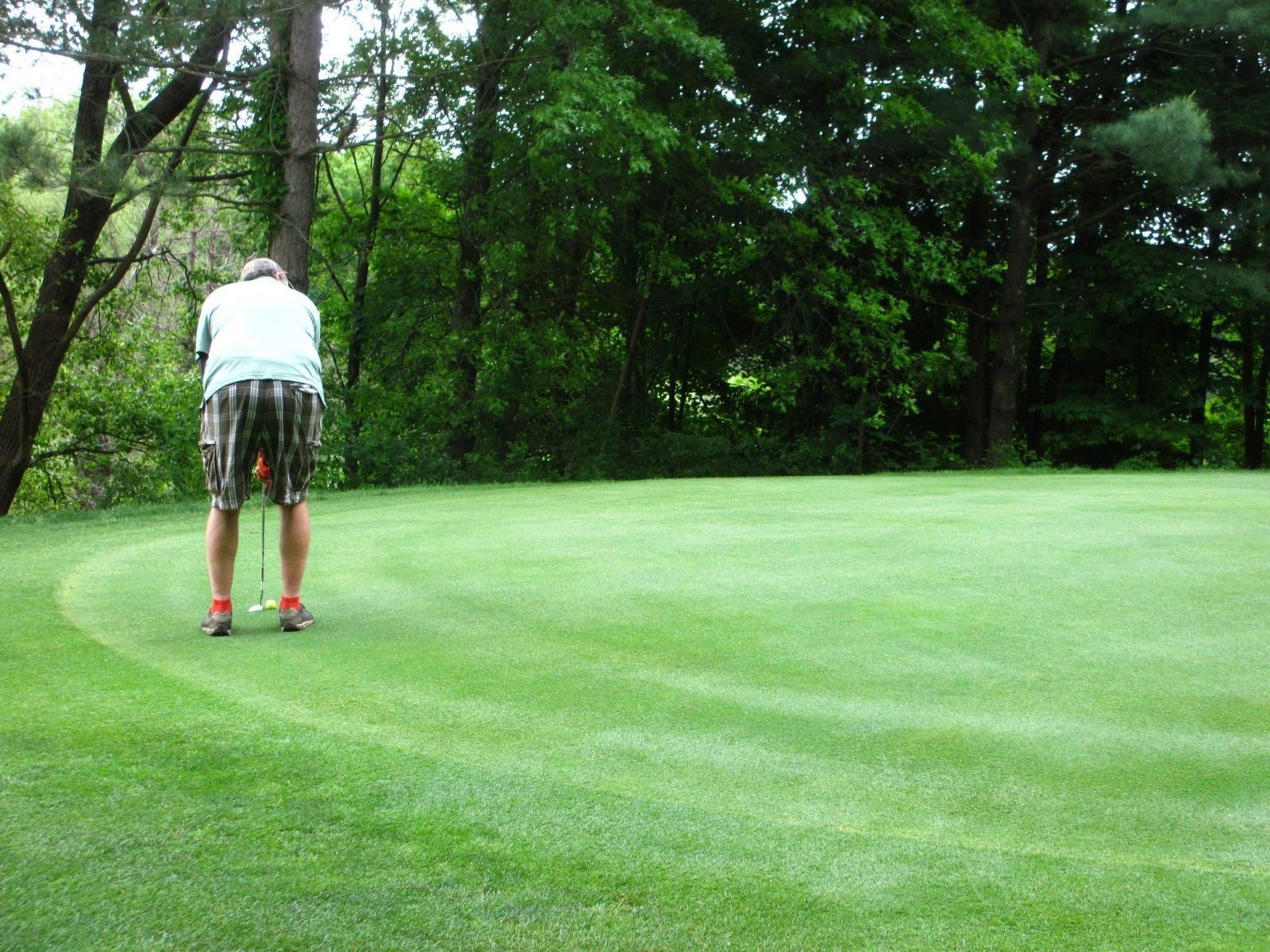 Green Ridge Golf Club in Johnson, NY