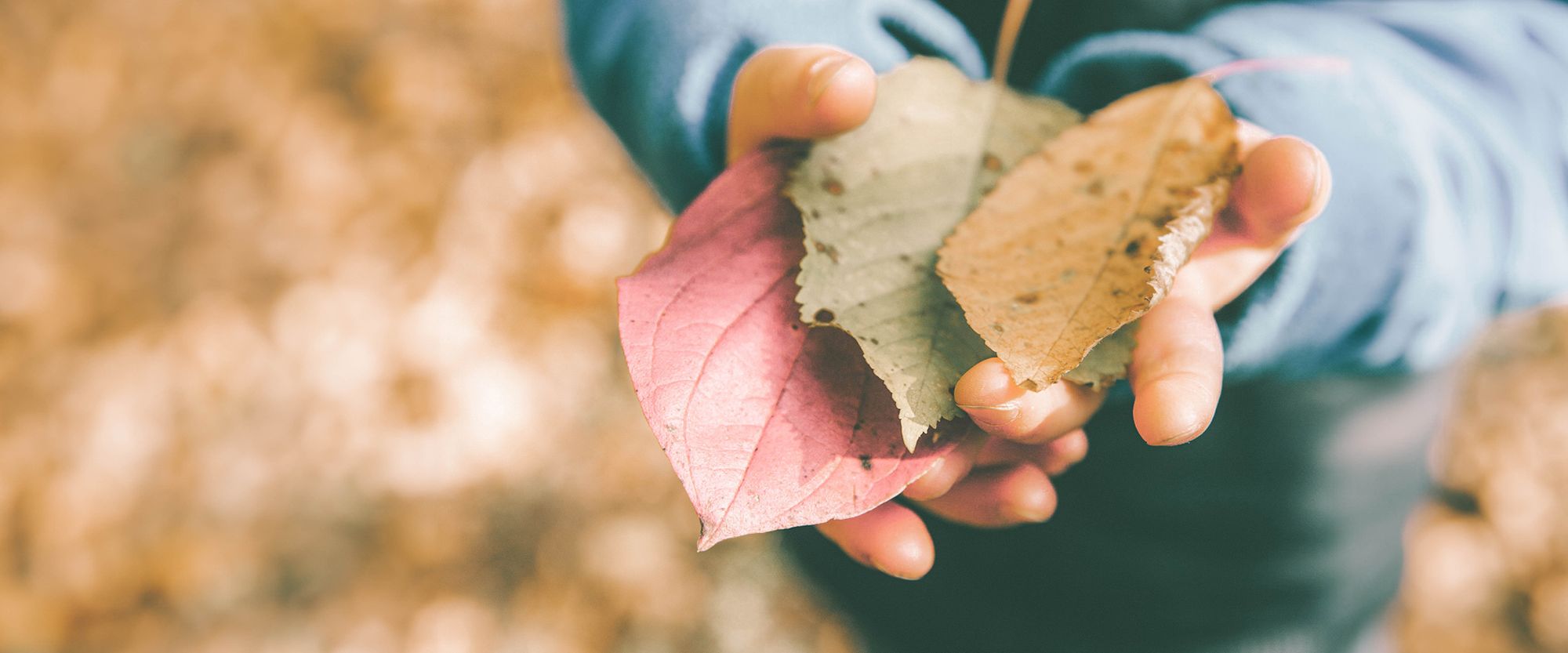 The four W's of Without Prejudice privilege