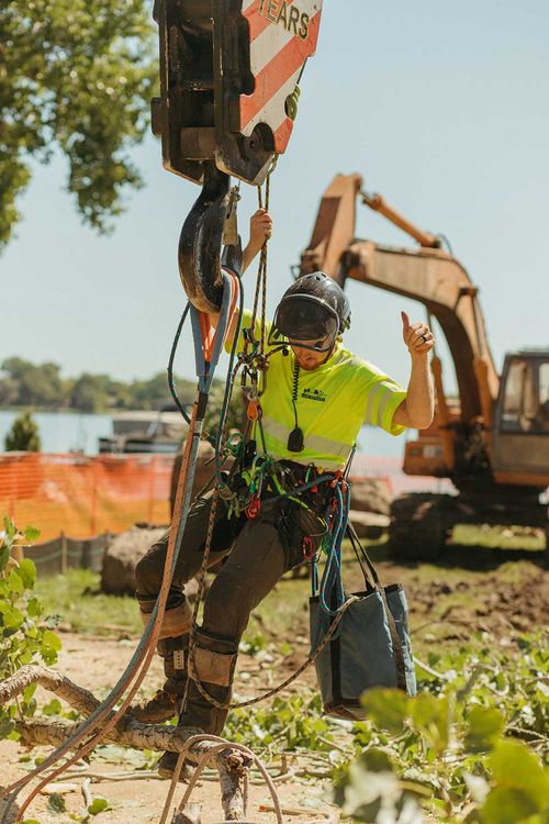 Momentum Tree Experts | Tree Service in Novi, Michigan