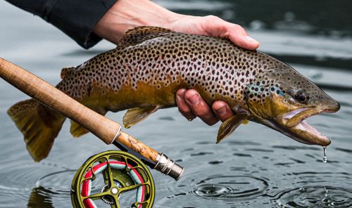 onWater Fish | 4 Quick Tips to Be Better Angler Tomorrow