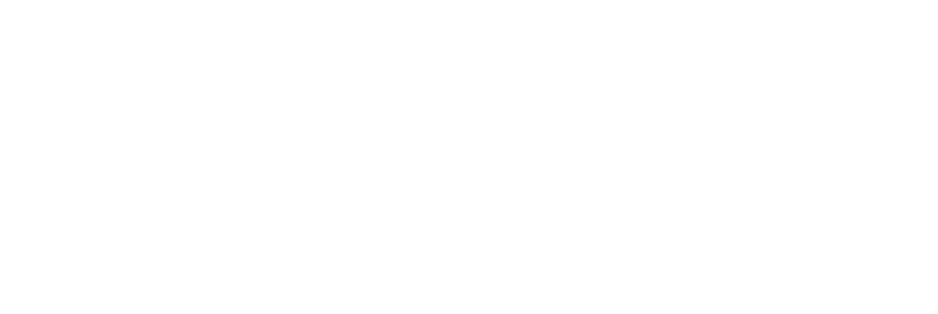 Skin Theory Aesthetics 8131