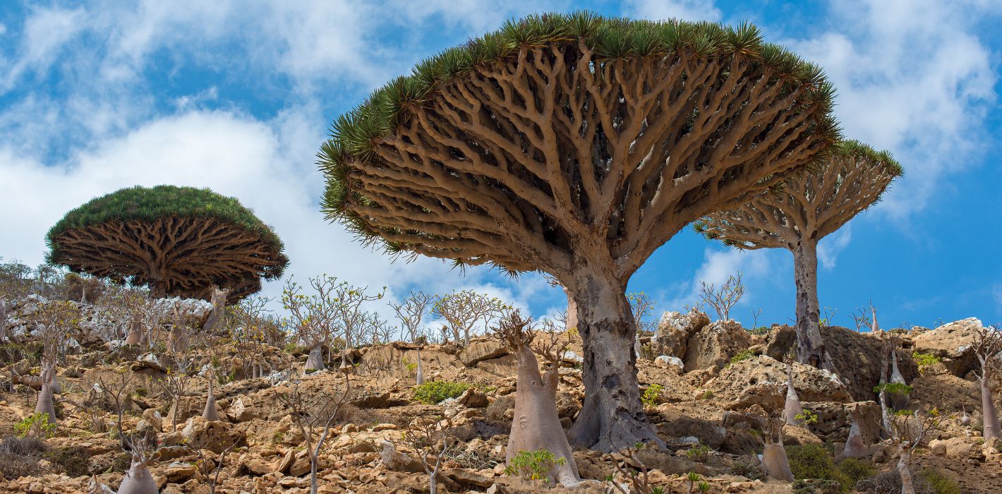 15 Unreal Places on Earth You Need to See to Believe | Travel