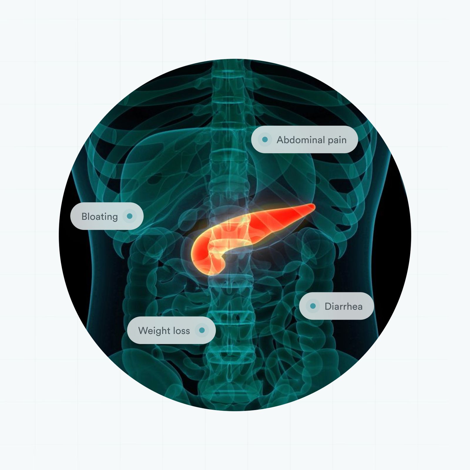 Digestive Health Services | Midwest Digestive Health & Nutrition