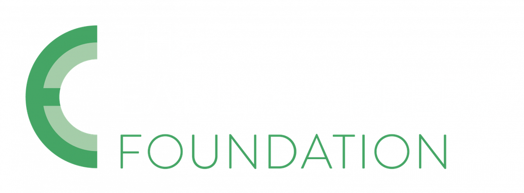 The Early Careers Company | Unlock Your Future Workforce