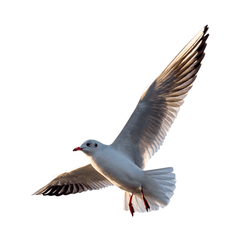 PropertyGuard.io - Top Property Info & Rental Monitoring Solutions