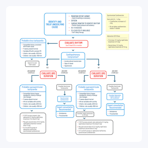 PALS Algorithms 2025 | Pediatric ACLS Algorithm | ProMed