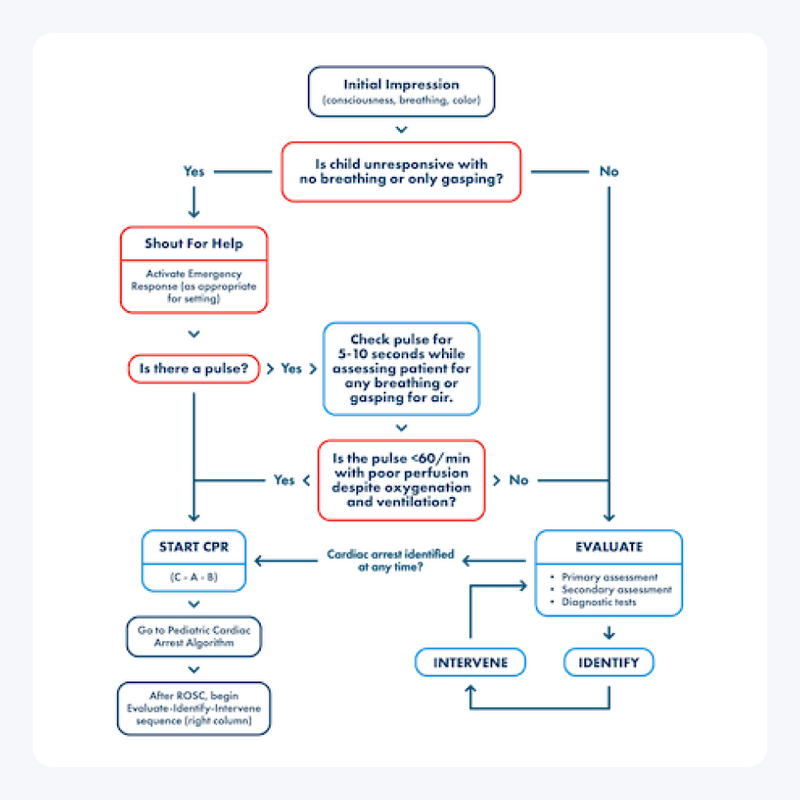PALS Algorithms 2025 | Pediatric ACLS Algorithm | ProMed