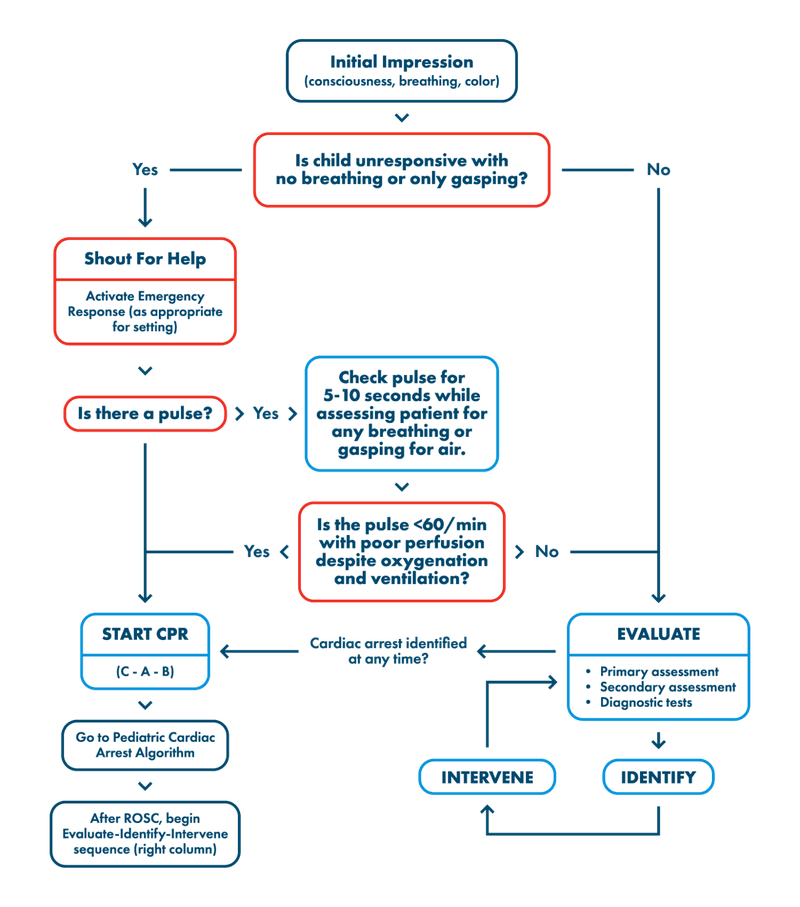PALS Systematic Approach Algorithm