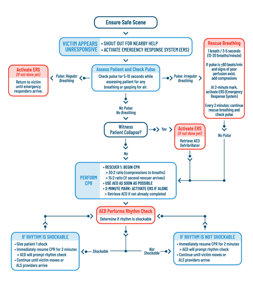 Pediatric BLS One Rescuer Algorithm