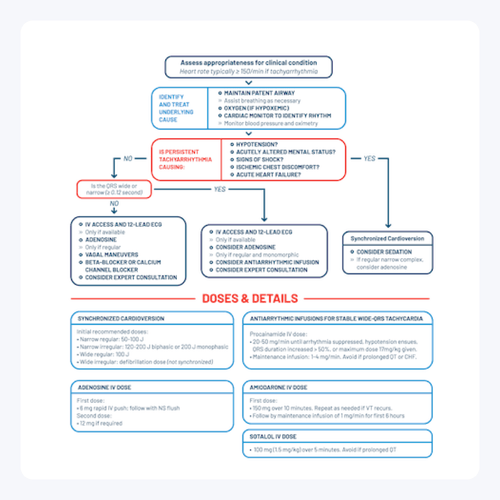 ACLS Algorithm 2025 | ACLS Flowchart | ProMed Certifications