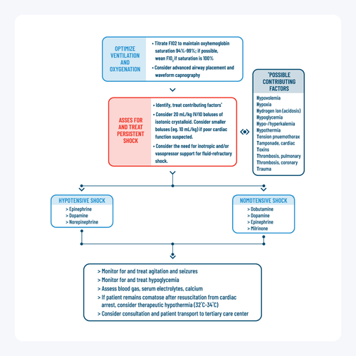 PALS Algorithms 2024 | Pediatric ACLS Algorithm | ProMed
