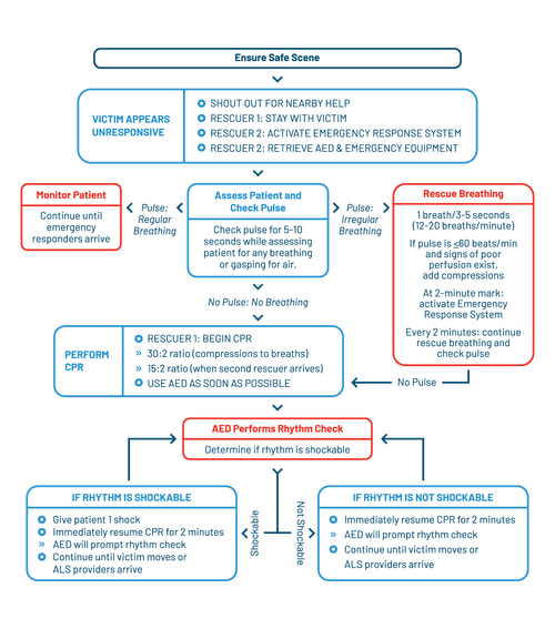 Pediatric BLS Two Rescuer Algorithm
