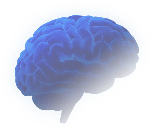 Connecting the Human Brain with DDI