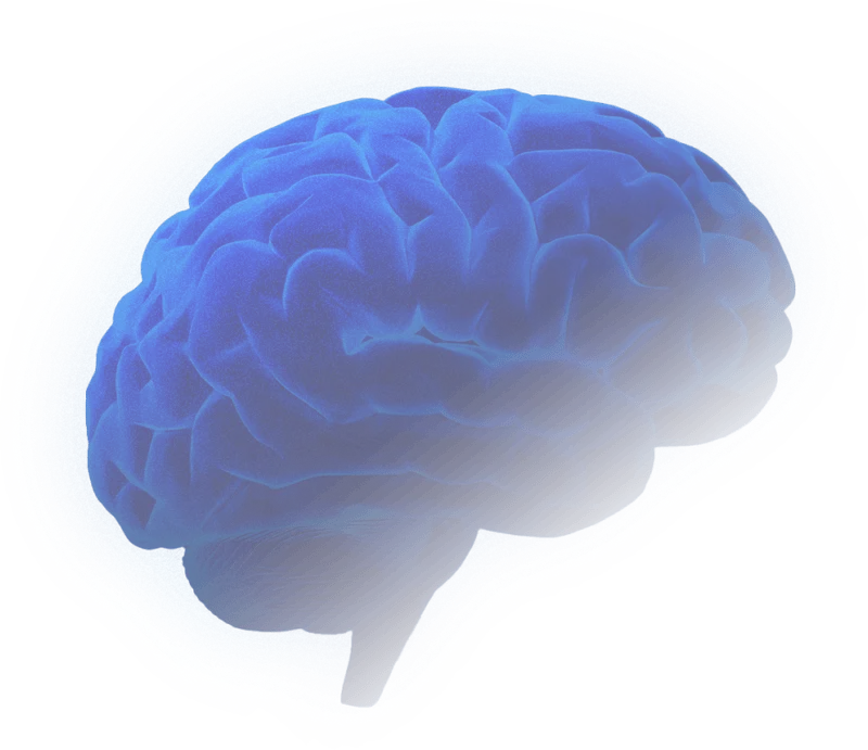 Connecting the Human Brain with DDI