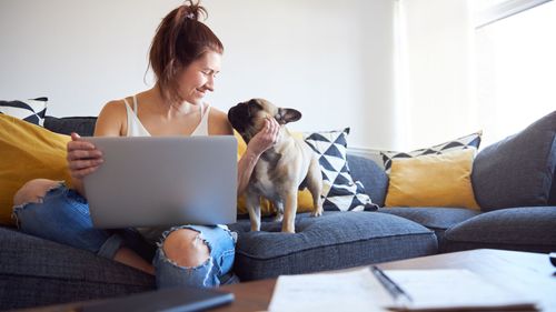 Pet Screening Checklist: Everything You Need to Ask Before Move-in ...