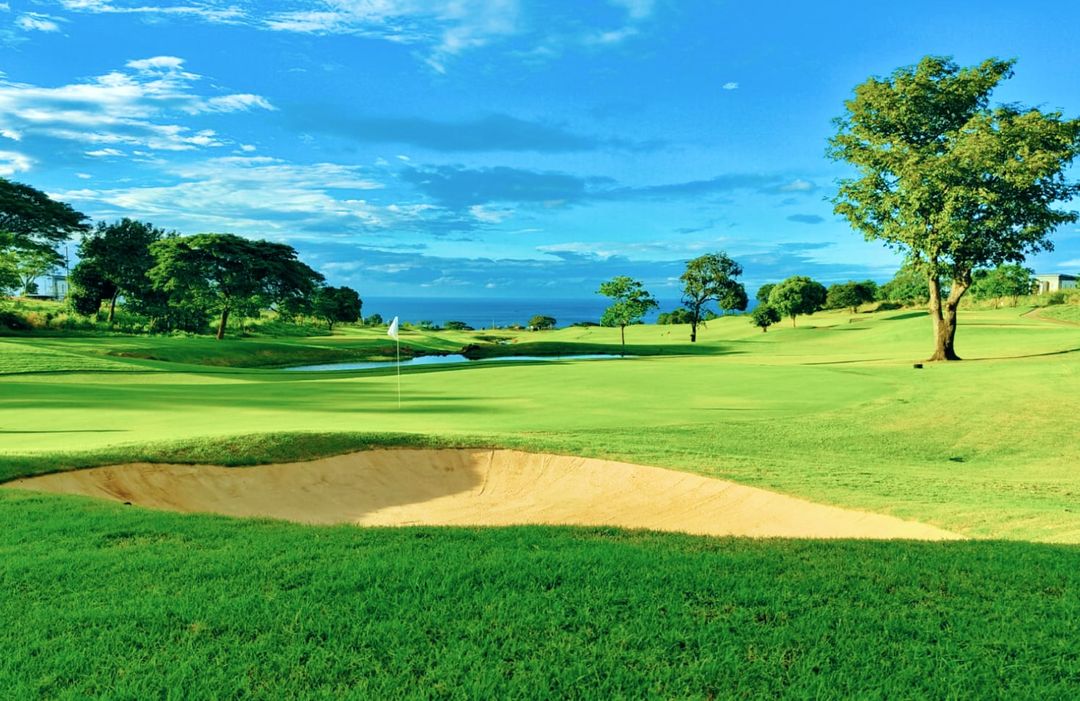 Netforce International | Homepage