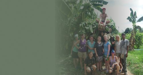 Animal Experience International