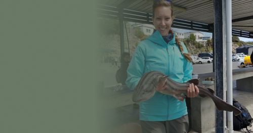 Animal Experience International