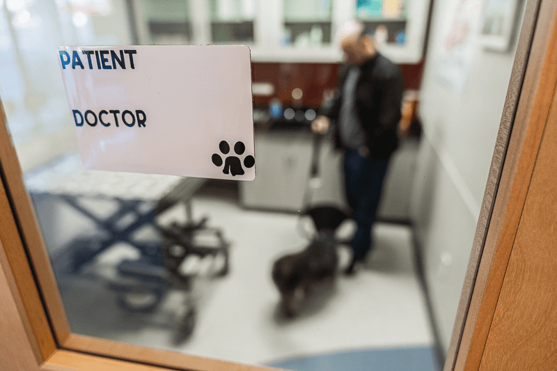 High-Quality Vet Hospital in Philadelphia, PA | Liberty Veterinary Clinic