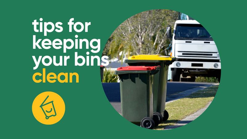 On-Site Wheelie Bin Cleaning Services | Happy Bins Melbourne