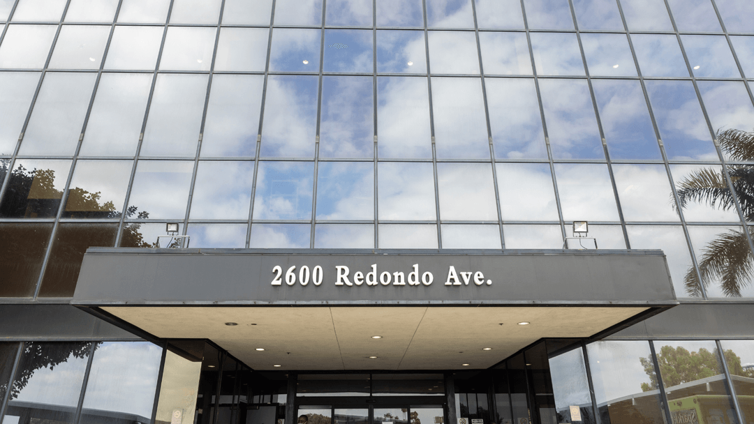 Azul Vision - Long Beach Willow