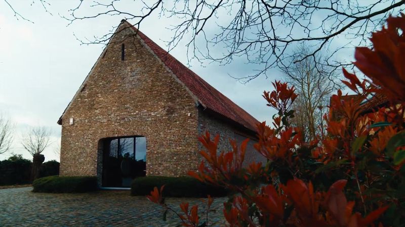 Syntegro NV | Fait partie de Visma Belgique