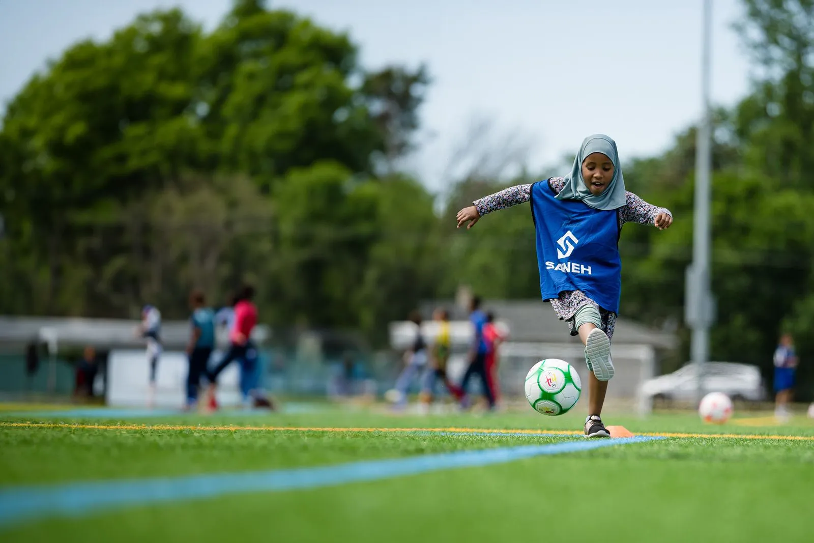 Green Sports Alliance: Driving Sustainability in Sports