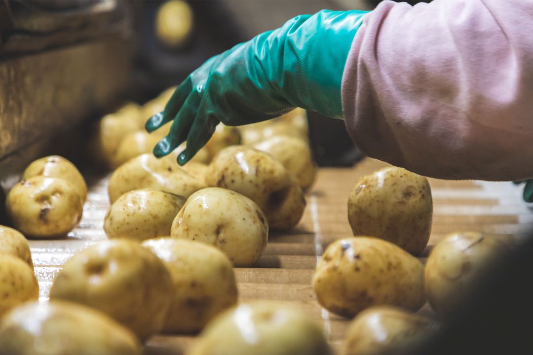 Your Guide to the Crops and Farmers of the Klamath Basin