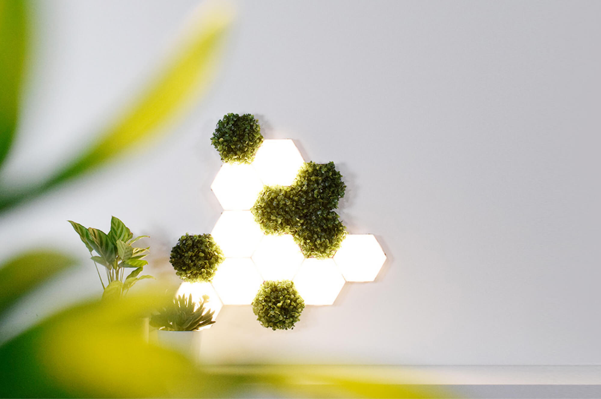 Polygon Lights — minimalgoods