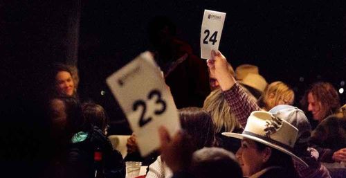 5Point Film Festival