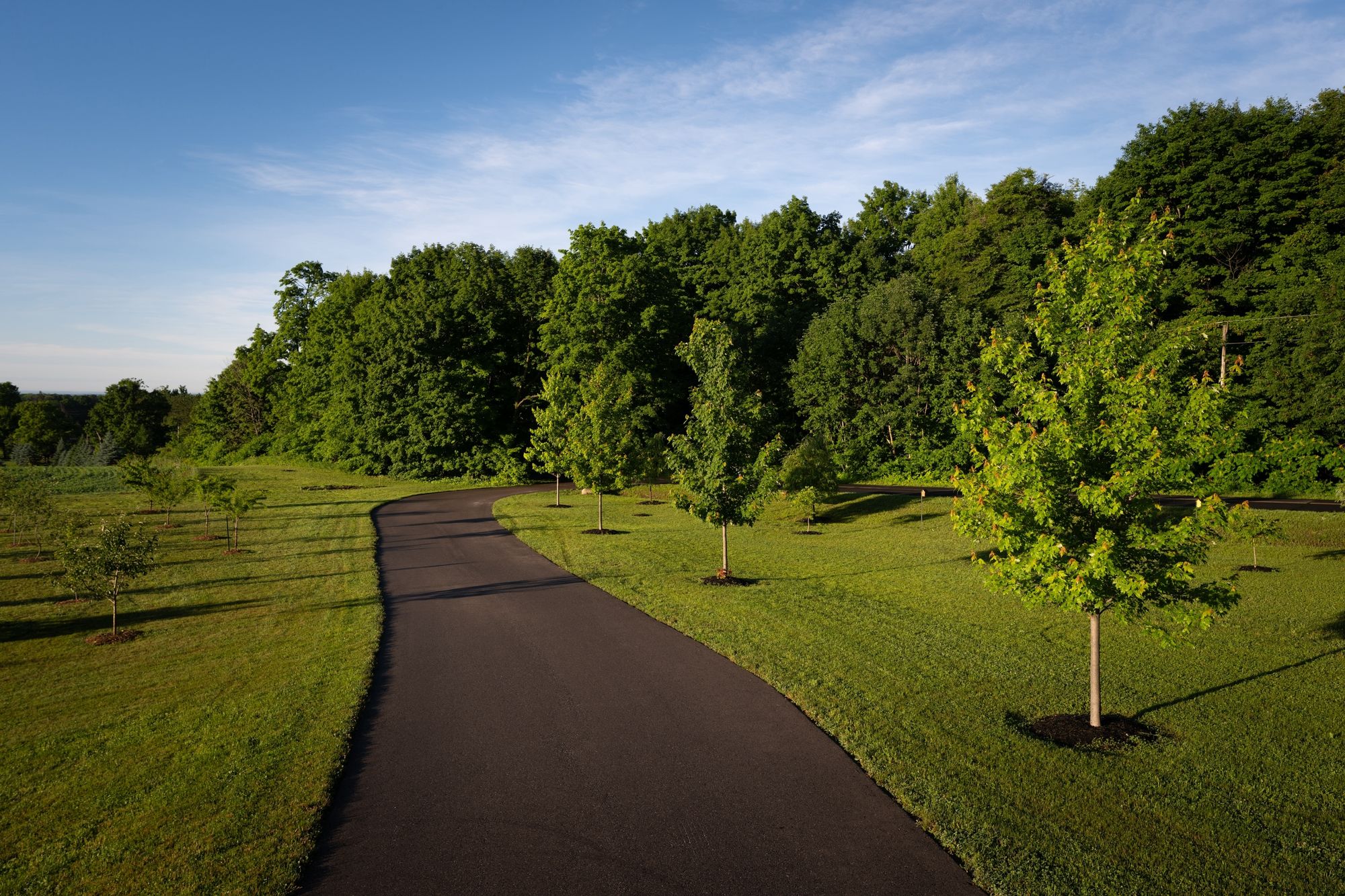 Landscape Design for Office Buildings | Forty Five Scapes