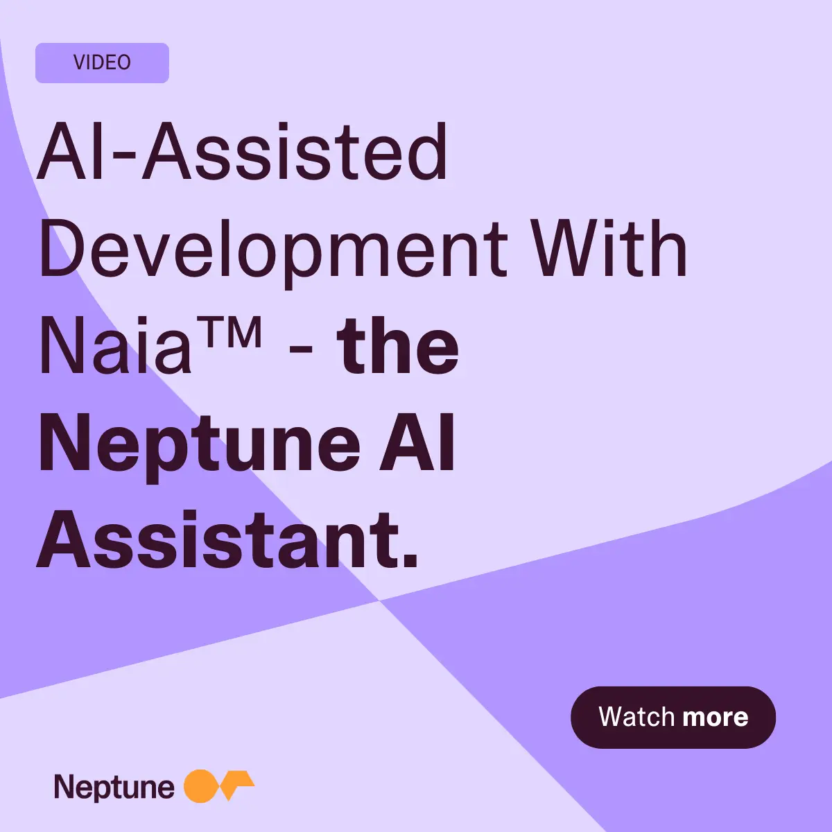 AI Assisted Development with Naia™ | Neptune Software