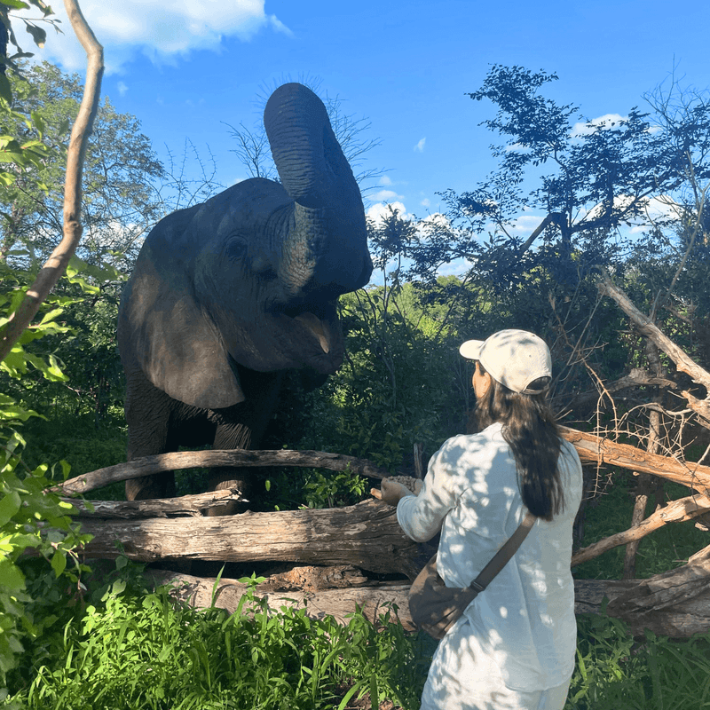 Our Team | Airtree Ventures